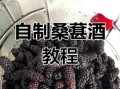 桑葚酒怎么做_桑葚酒家庭酿制方法