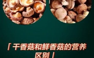 香菇干怎么泡发_香菇干和鲜香菇营养区别