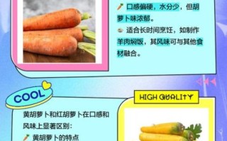 红胡萝卜和黄胡萝卜哪个好_营养成分差异