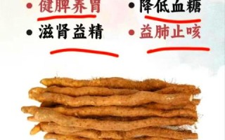 焦作铁棍山药的功效与作用_孕妇能吃吗