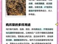 鸡爪梨是什么水果_鸡爪梨的功效与作用