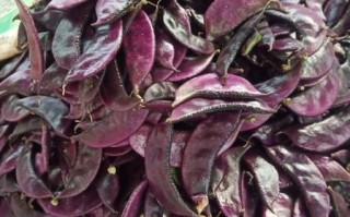 紫扁豆怎么做好吃_紫扁豆的做法大全