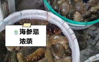海参不能和什么一起吃_海参相克食物大全