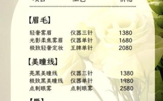 雾眉价格表_雾眉多少钱一次