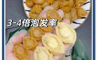 鲍鱼干最简单的做法_鲍鱼干怎么泡发最快