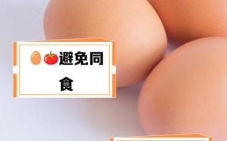 鸡蛋不能和什么一起吃吗_鸡蛋相克食物有哪些