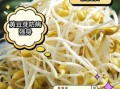 黄豆芽的功效与作用_黄豆芽怎么吃最营养