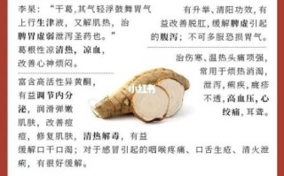 葛根的副作用有哪些_葛根禁忌人群