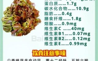 香椿的副作用有哪些_香椿吃多了有什么危害