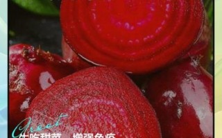 炒甜菜根怎么做好吃_甜菜根炒多久才熟