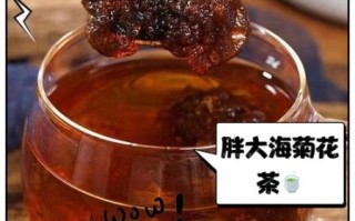 胖大海图片长什么样_胖大海泡水前后对比