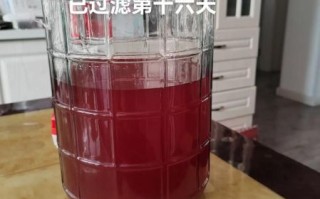 自酿葡萄酒怎么做_自酿葡萄酒有毒吗