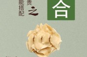 百合治痛风的做法_百合怎么吃降尿酸