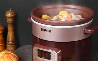 电炖锅怎么炖汤_电炖锅食谱大全 电炖锅怎么炖汤_电炖锅食谱大全