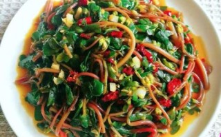 马齿菜怎么做好吃_马齿菜的家常做法