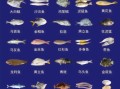 常吃的海鱼有哪些_海鱼图片大全怎么认