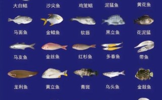常吃的海鱼有哪些_海鱼图片大全怎么认