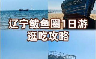 鲅鱼圈为什么被吐槽_鲅鱼圈到底哪里不好