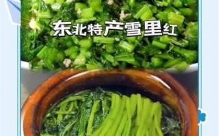 雪里红炖豆腐怎么做_雪里红炖豆腐要焯水吗