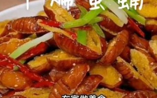茧蛹子怎么炒好吃_茧蛹子营养价值高吗