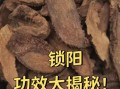锁阳的功效与作用及禁忌_哪些人不能吃锁阳