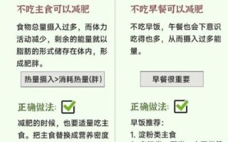 不吃晚饭减肥的危害_长期不吃晚饭会怎样