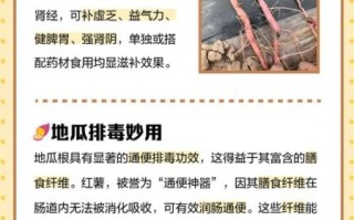 土瓜根的功效与作用_土瓜根可以天天喝吗