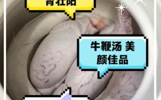 牛鞭汤的做法_牛鞭汤的功效与禁忌