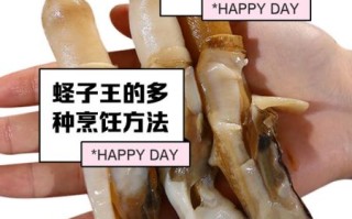 蛏子王和蛏子的区别_蛏子王是不是更大