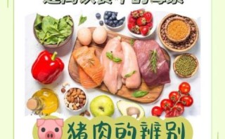 瘦肉精是什么_瘦肉精对人体有哪些危害