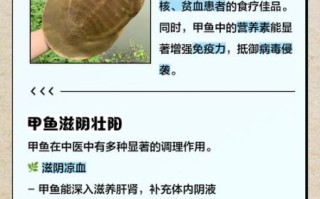 甲鱼的功效与作用_甲鱼的营养价值有哪些