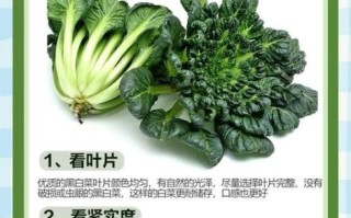 黑白菜怎么炒好吃_黑白菜营养价值