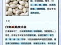 白果吃了对身体有什么好处_白果的功效与作用