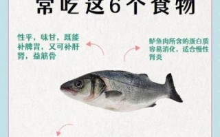 男人吃什么补肾_肾虚吃什么食物最好