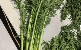 雪里蕻怎么腌制才脆爽_雪里蕻腌制多久可以吃