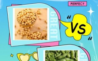 毛豆老了是黄豆吗_毛豆和黄豆的区别 毛豆老了是黄豆吗_毛豆和黄豆的区别
