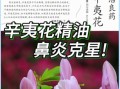 辛夷花鼻炎偏方_辛夷花治疗鼻炎怎么用