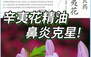 辛夷花鼻炎偏方_辛夷花治疗鼻炎怎么用