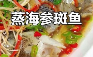 清蒸海参斑鱼怎么做_海参斑鱼蒸多久才嫩