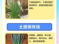 香葱怎么保存时间长_香葱图片识别技巧