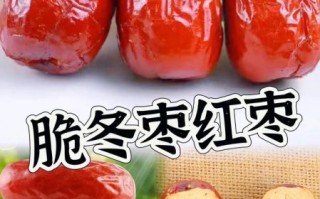 脆冬枣怎么保存_脆冬枣的功效与作用