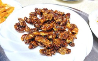 油炸知了猴有毒吗_知了猴怎么处理才安全