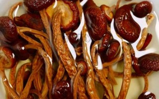 干茶树菇怎么煮才会烂_茶树菇快速软烂技巧