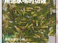 莲子心怎么吃最好_莲子心泡水喝的正确方法