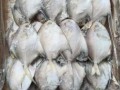 鲳鱼多少钱一斤_鲳鱼价格为什么差异大
