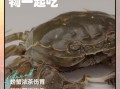螃蟹不能和什么一起吃会中毒_吃螃蟹中毒怎么办
