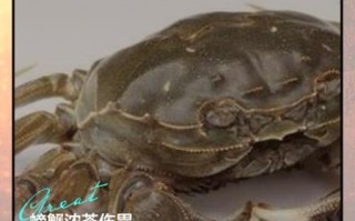 螃蟹不能和什么一起吃会中毒_吃螃蟹中毒怎么办