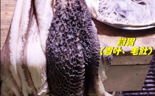 牛百叶是毛肚吗_牛百叶和毛肚的区别