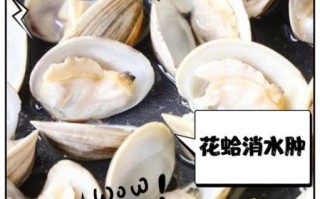 花蛤和蛤蜊的区别_哪个更好吃