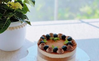 提拉米苏的做法图解_家庭版零失败配方